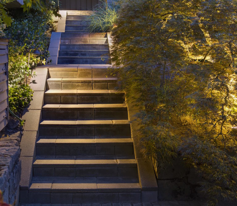 Top Landscape Design Trends for 2020 - Portland Landscaping Company